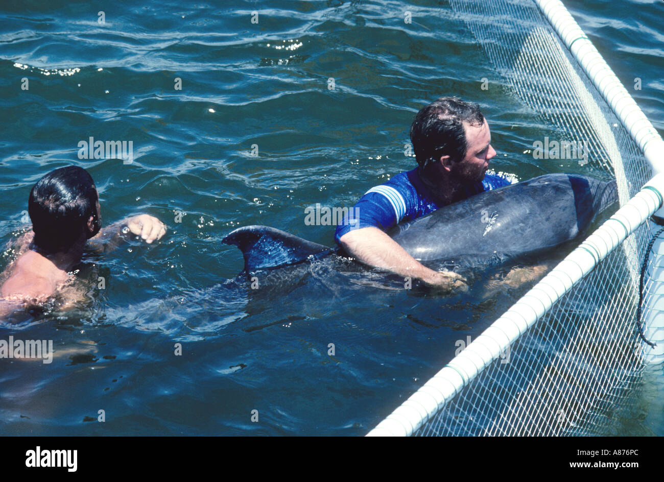 Delfin florida hi-res stock photography and images - Alamy