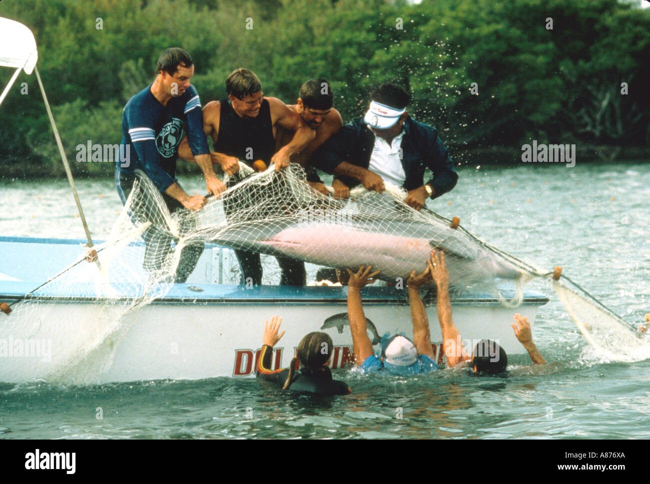 Delphine florida hi-res stock photography and images - Alamy