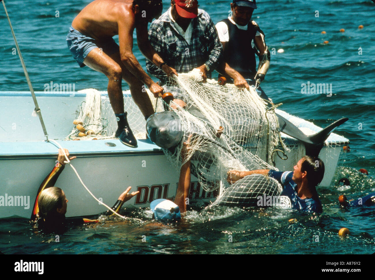 USA Florida Hunting of dolphins in the Gulf of Mexico Stock Photo - Alamy