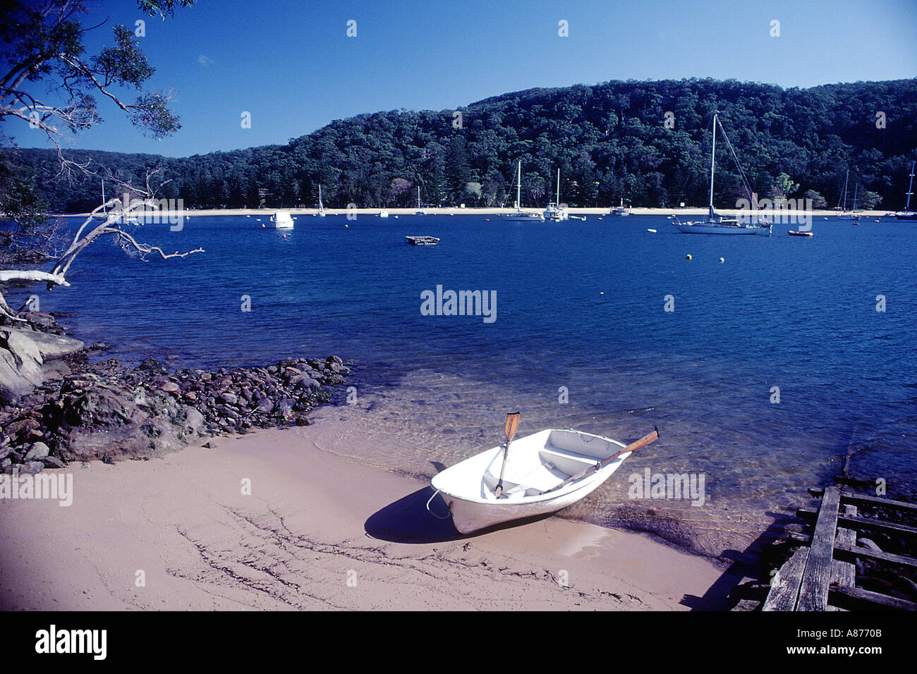 A single white empty row boat ashore on a beach at lake In the ...