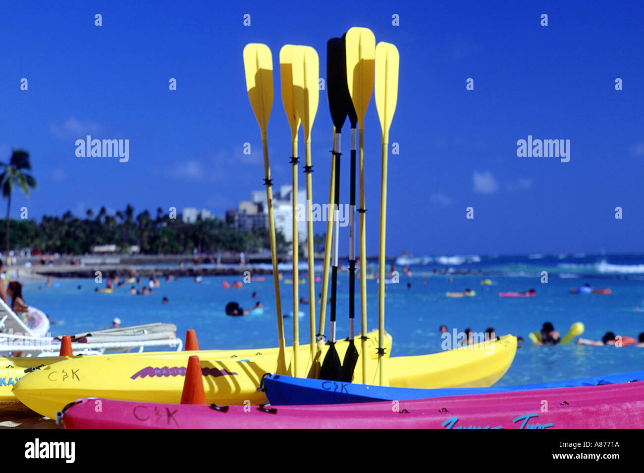 Yellow paddles sticking straight up out of the sand on a beach near ...