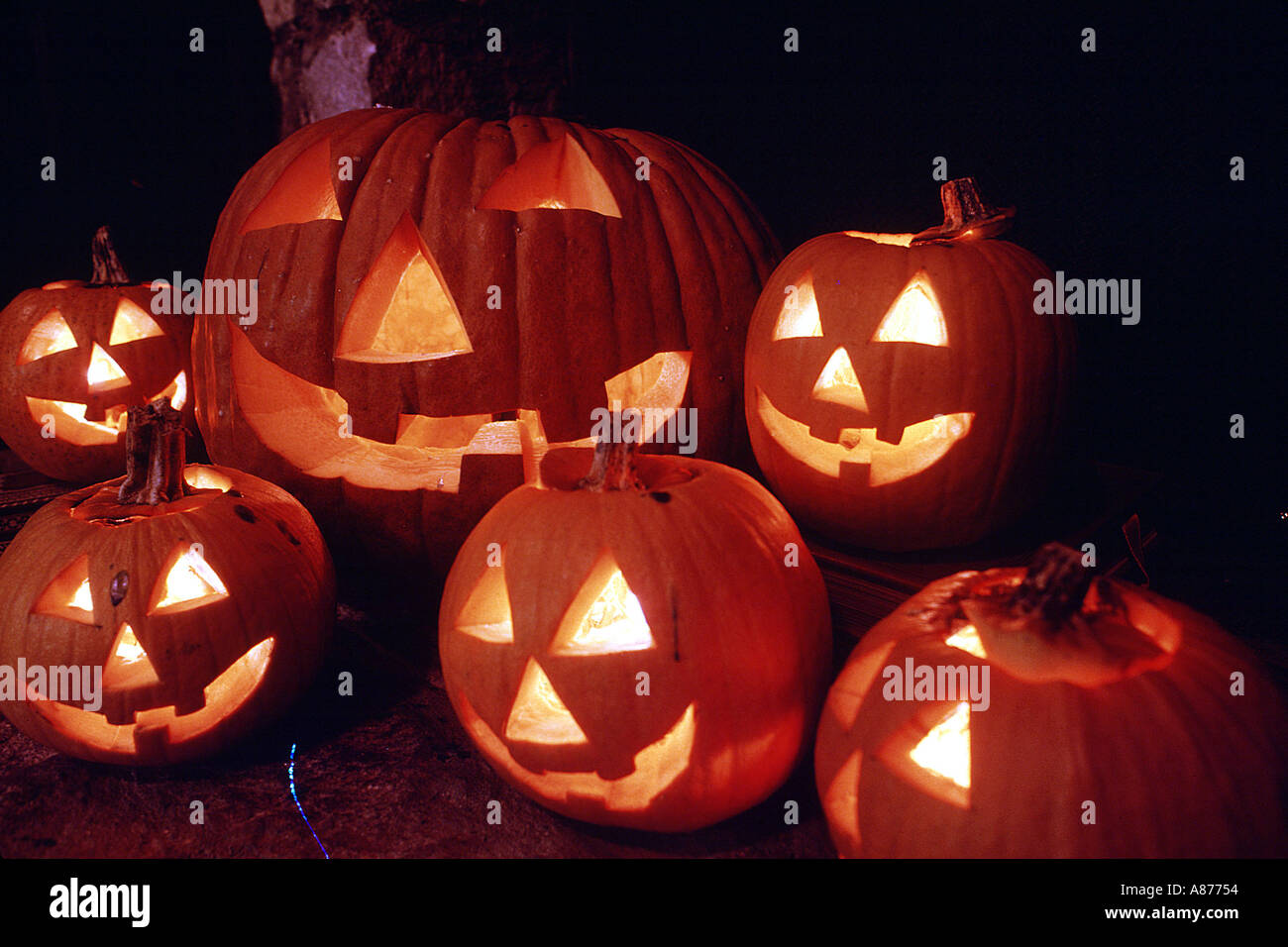 Group of lighted jack o'lanterns of various sizes Stock Photo - Alamy