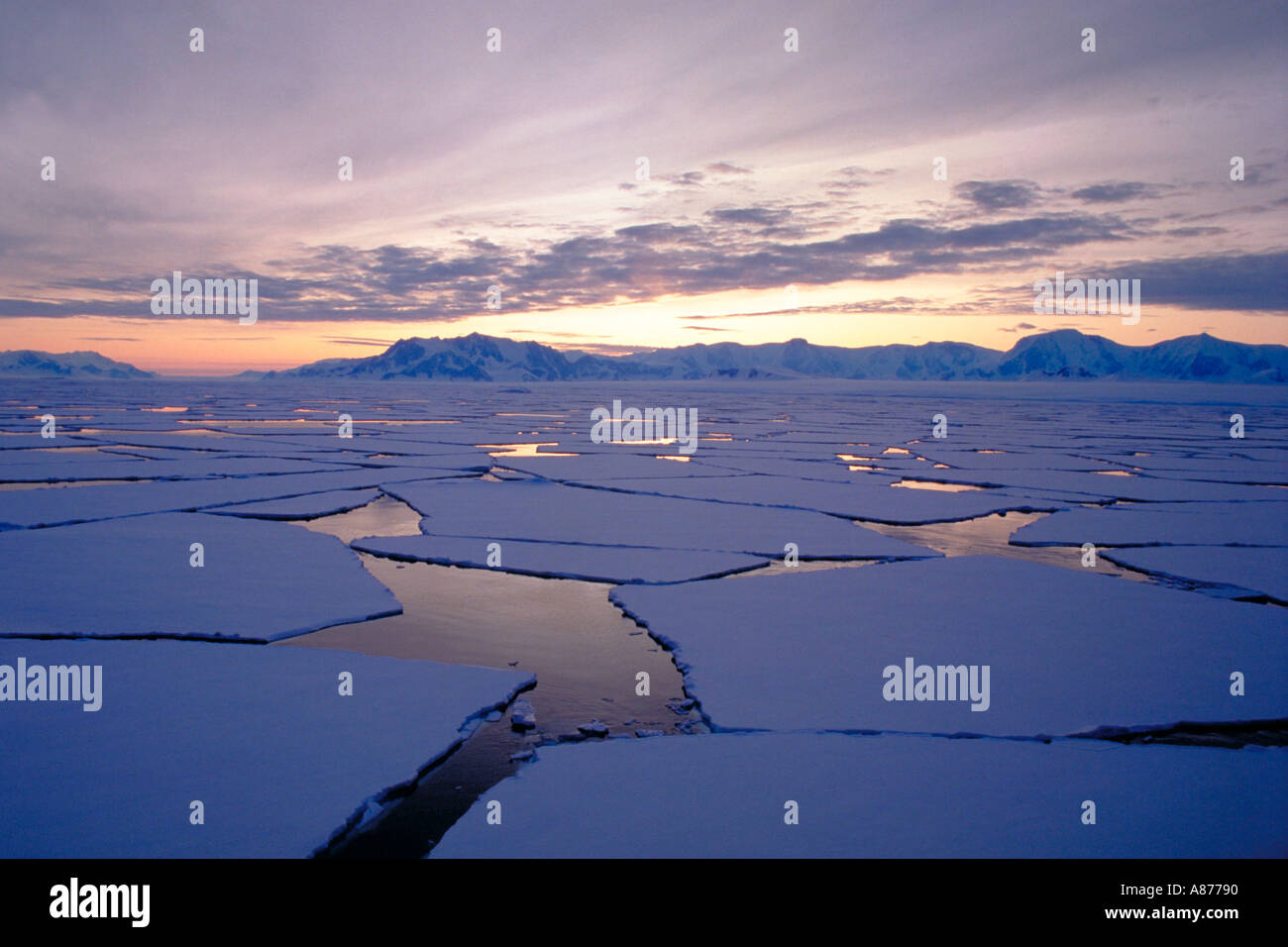 ANTARCTICA Alexander Island Stock Photo - Alamy