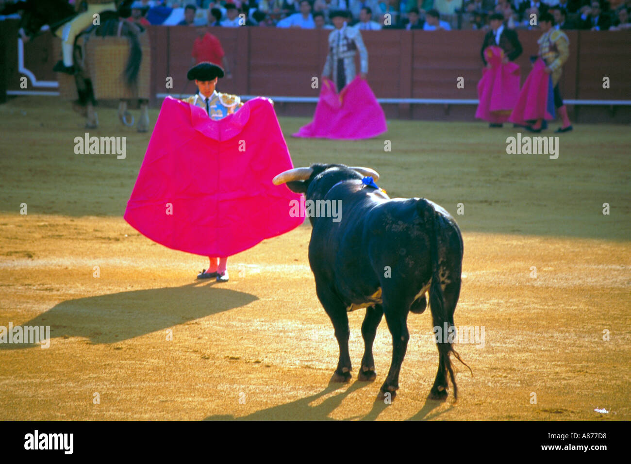 Red bull matador hi-res stock photography and images - Alamy