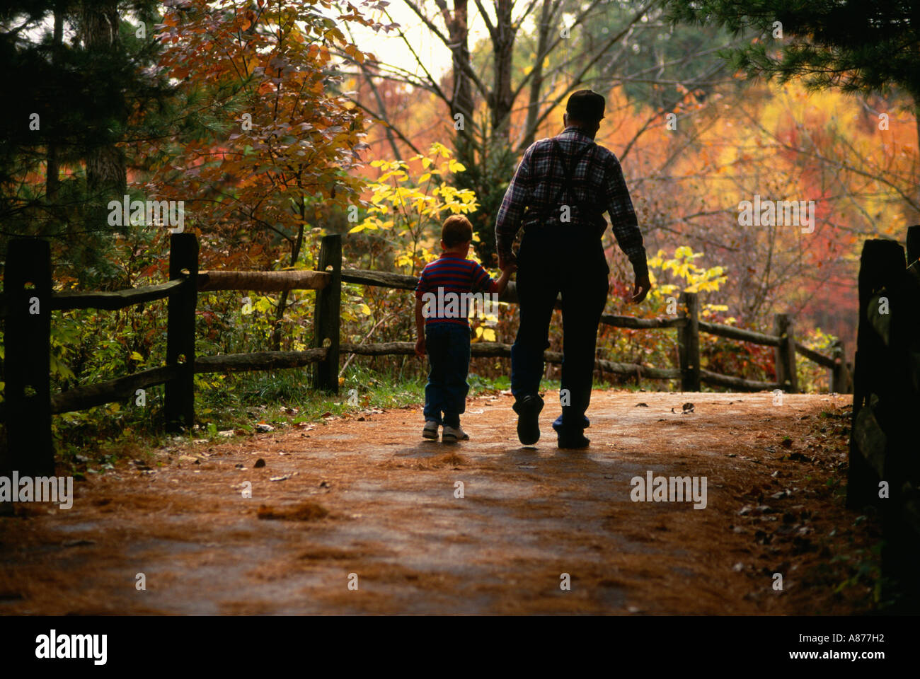 Generations grandfather and grandson walk on path in midwest with ...