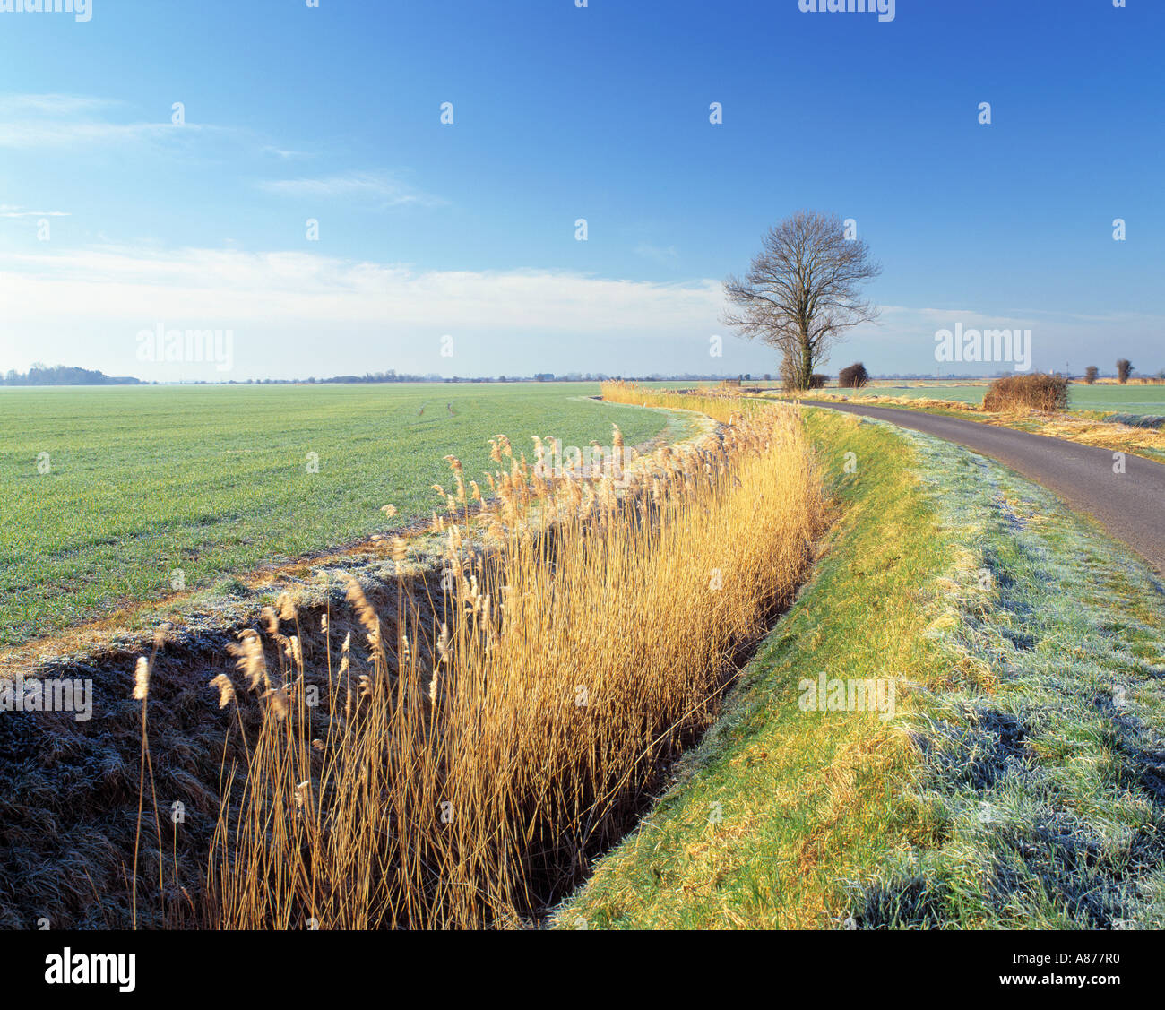 Counties marsh hi-res stock photography and images - Alamy