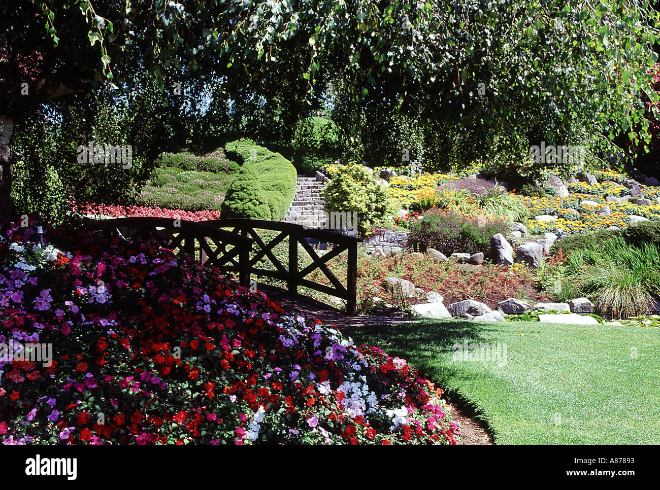 Shaded bridge through a formal garden Stock Photo - Alamy