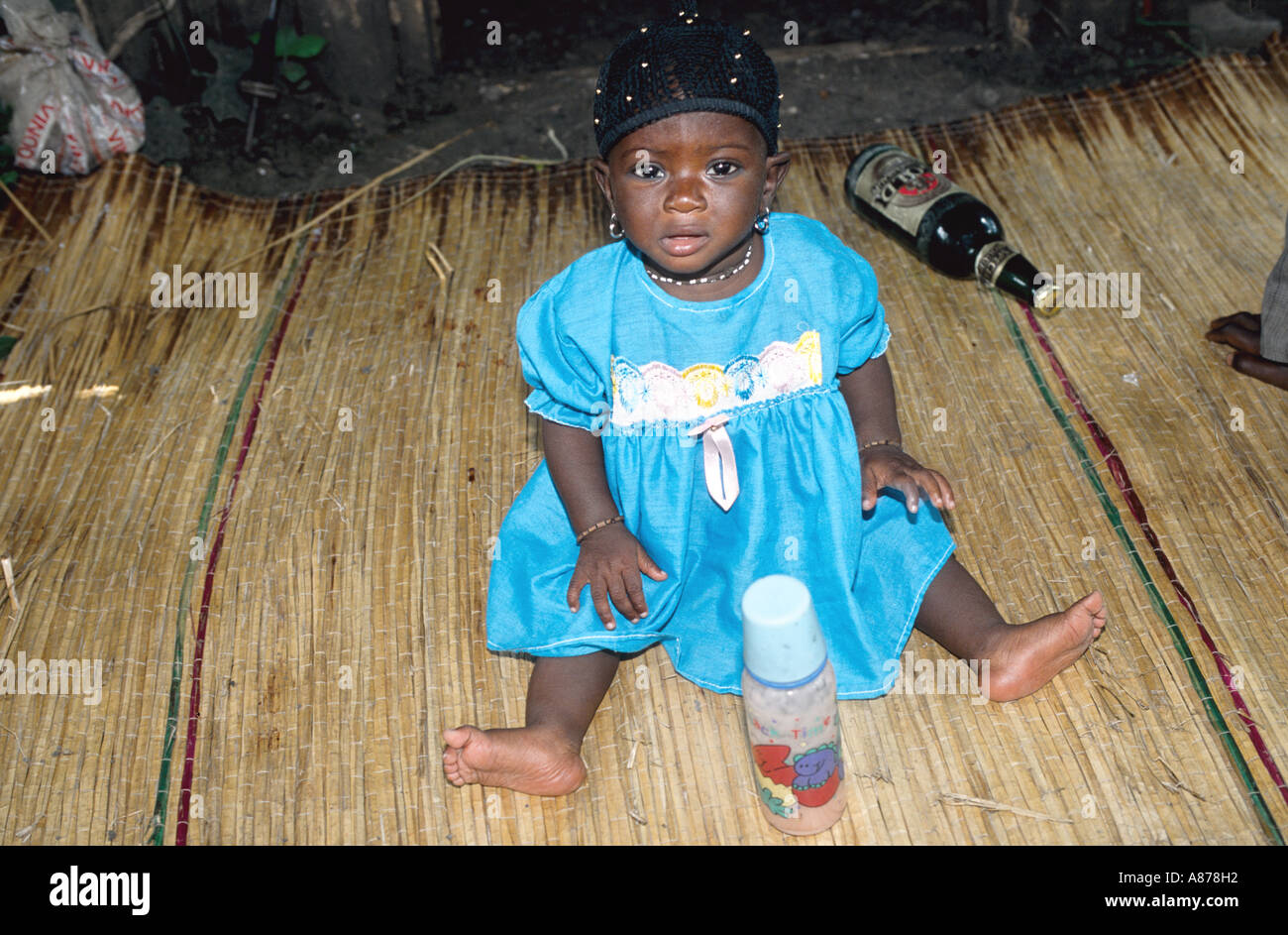 Benin West Africa In a forest area south of Ketu Benin live a small ...