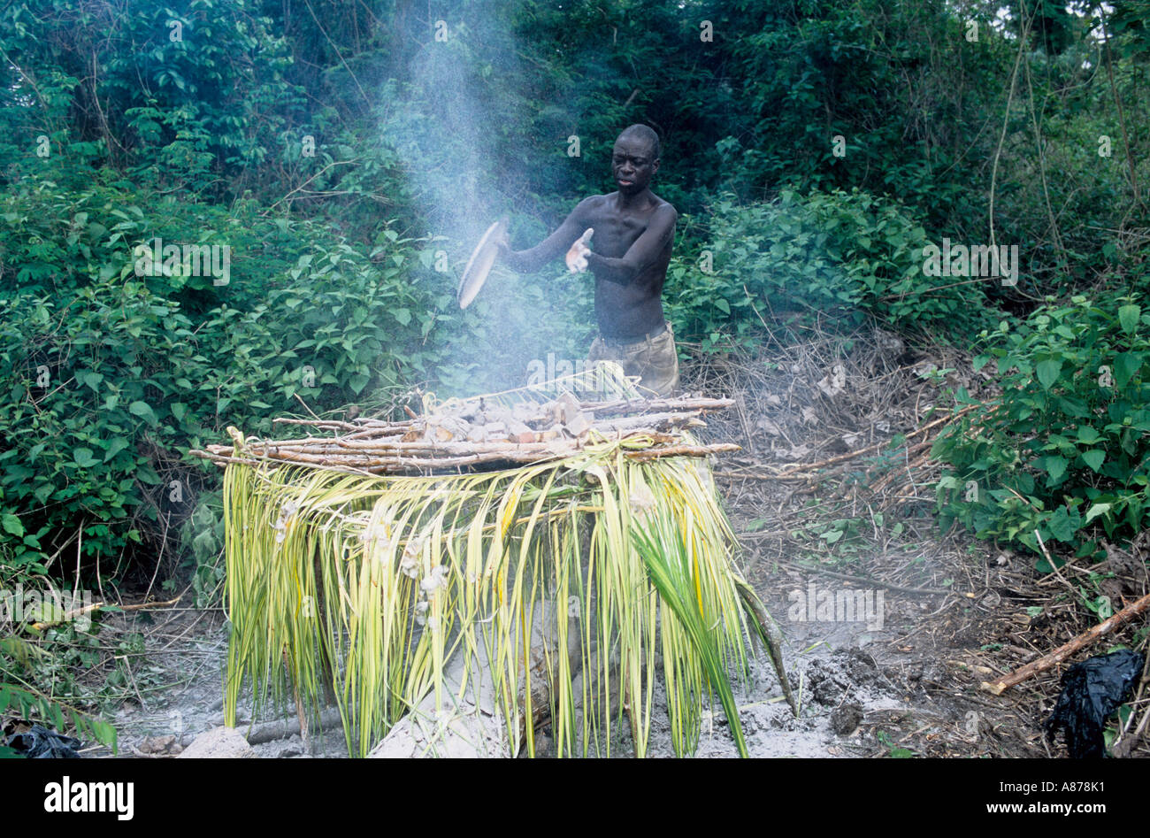 Benin West Africa In a forest area south of Ketu Benin live a small ...