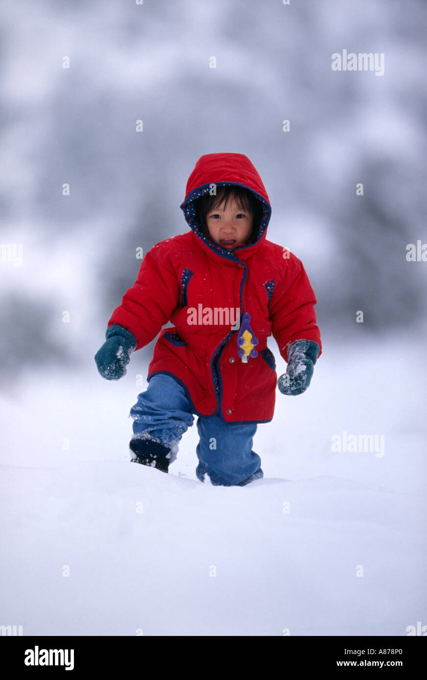 Asian american model minority hi-res stock photography and images - Alamy