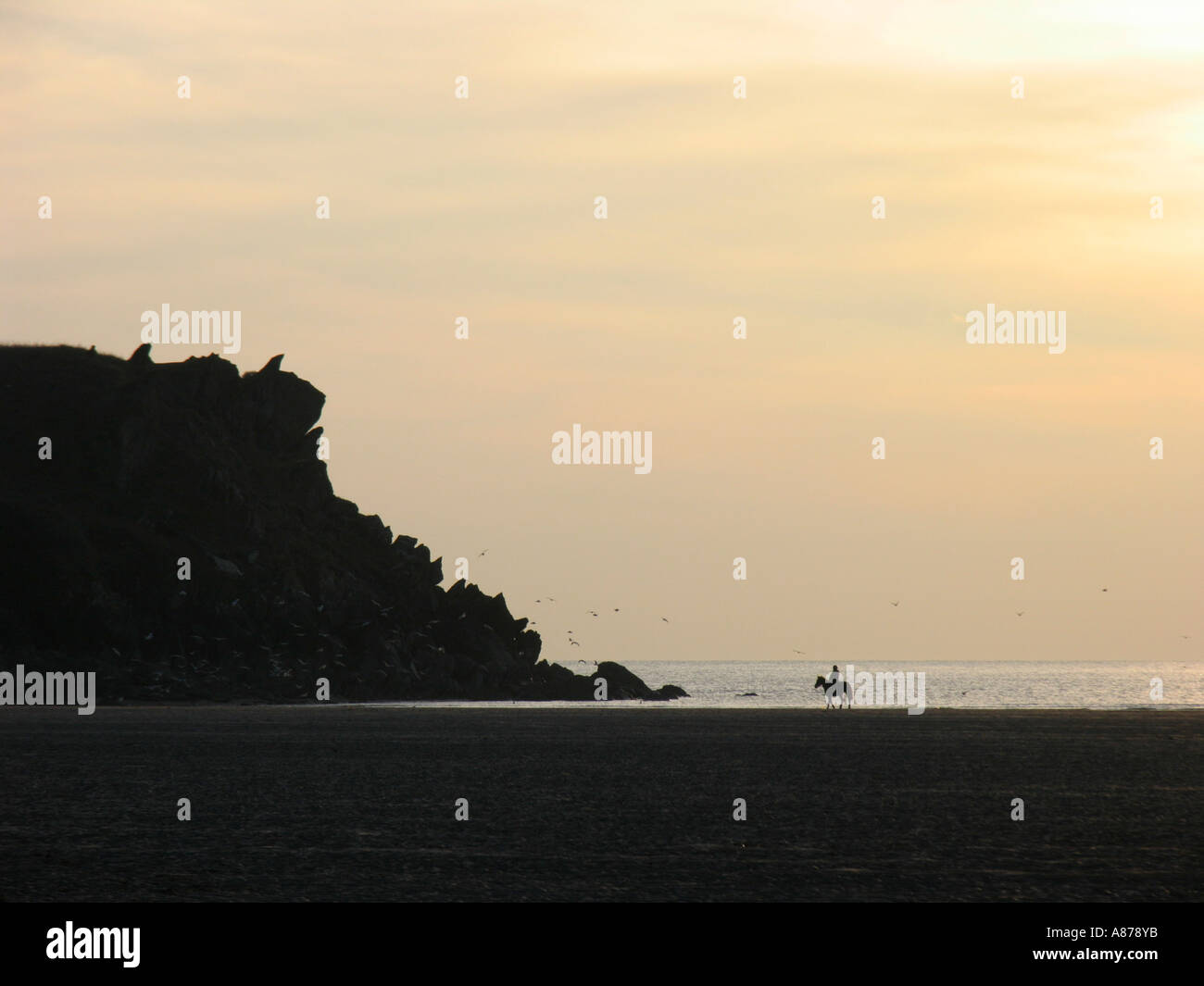 Silhouette of a horse and rider on Wonwell Beach at low tide at sunset ...