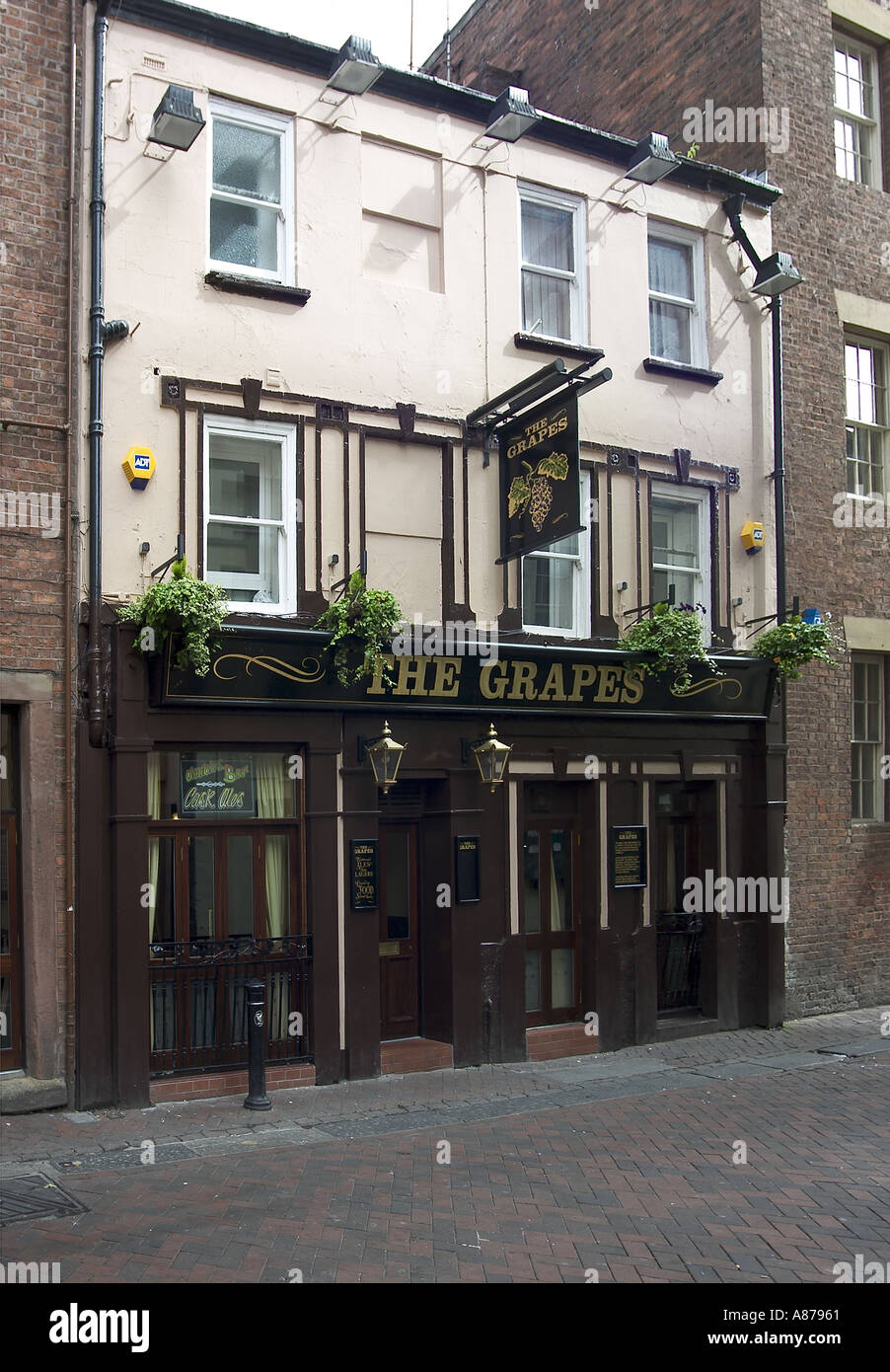 The Grapes Mathew St Stock Photo - Alamy