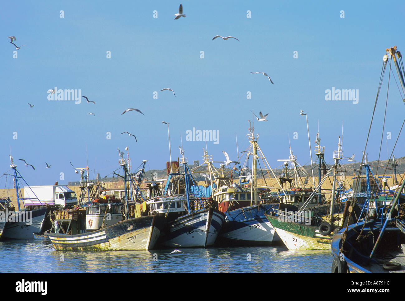 Flying fish fleet hi-res stock photography and images - Alamy