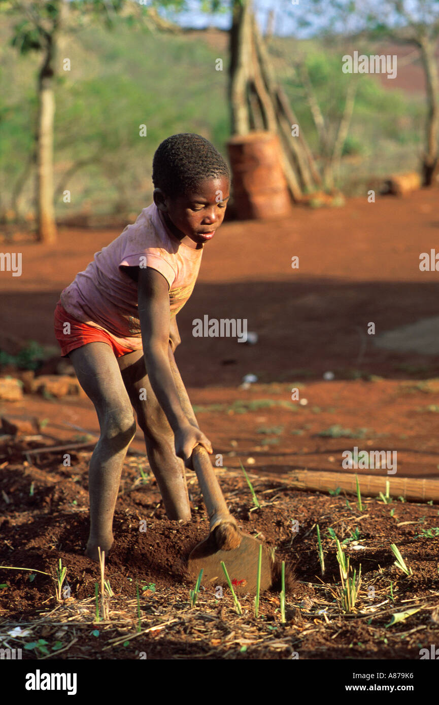 Young boy digging the vegetable plot on his poor family's subsistence ...