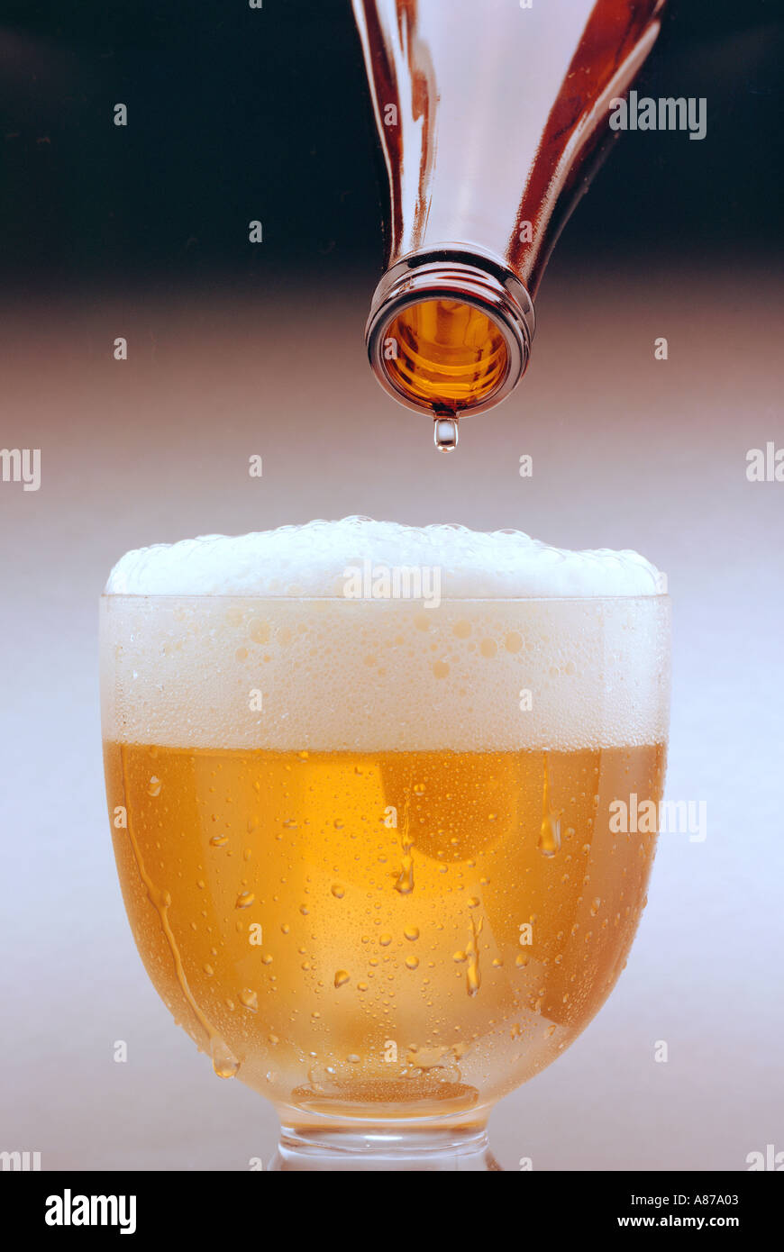 Last drop of beer hangs on the lip of a brown bottle before falling ...