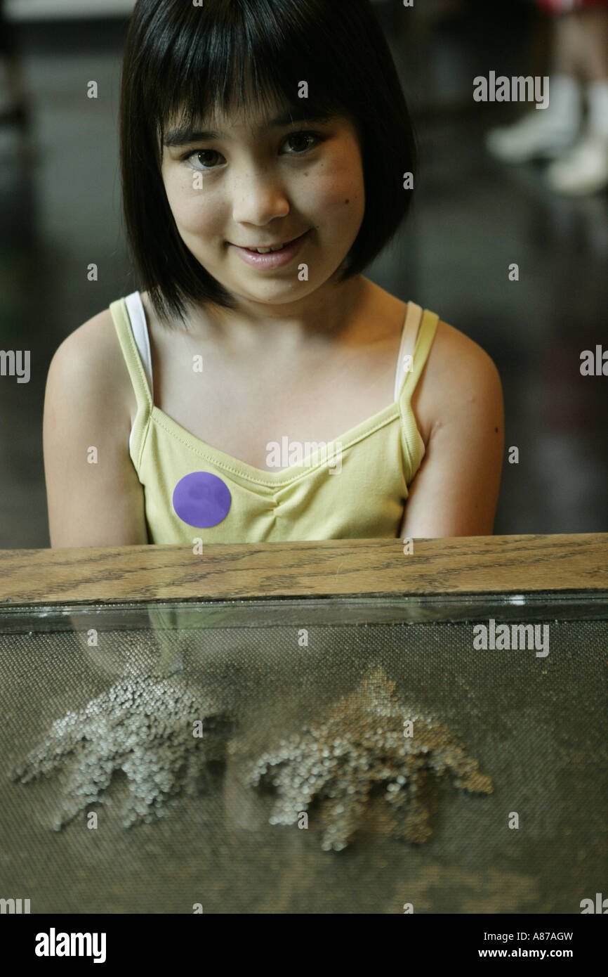 Girl stands hand raised hi-res stock photography and images - Alamy