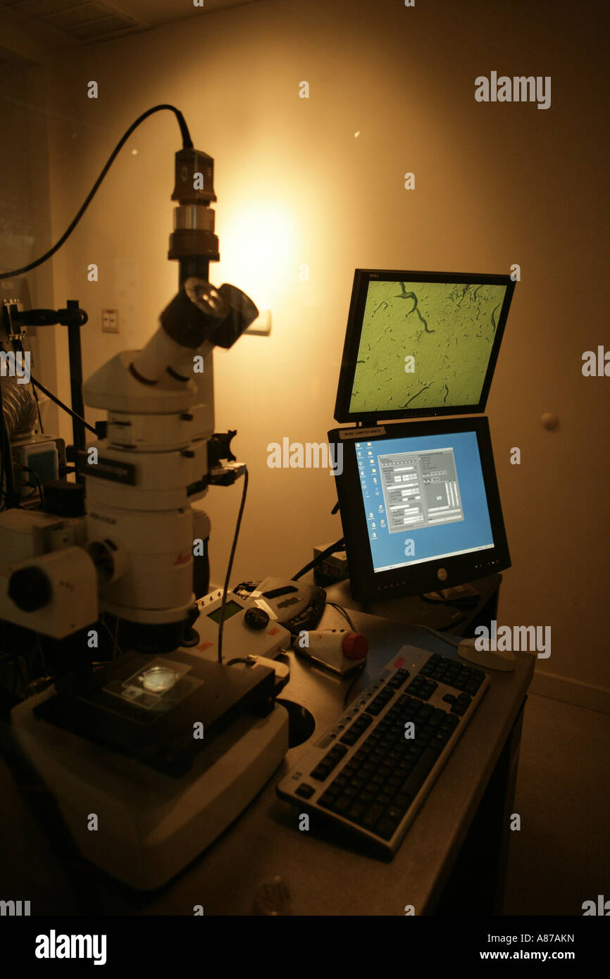 Optical experiments hi-res stock photography and images - Alamy