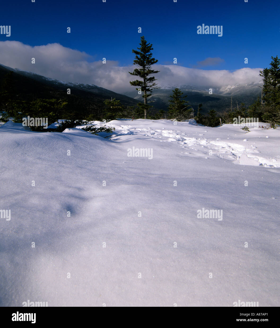 White Mountain National Forest of New Hampshire USA Appalachian Trail ...