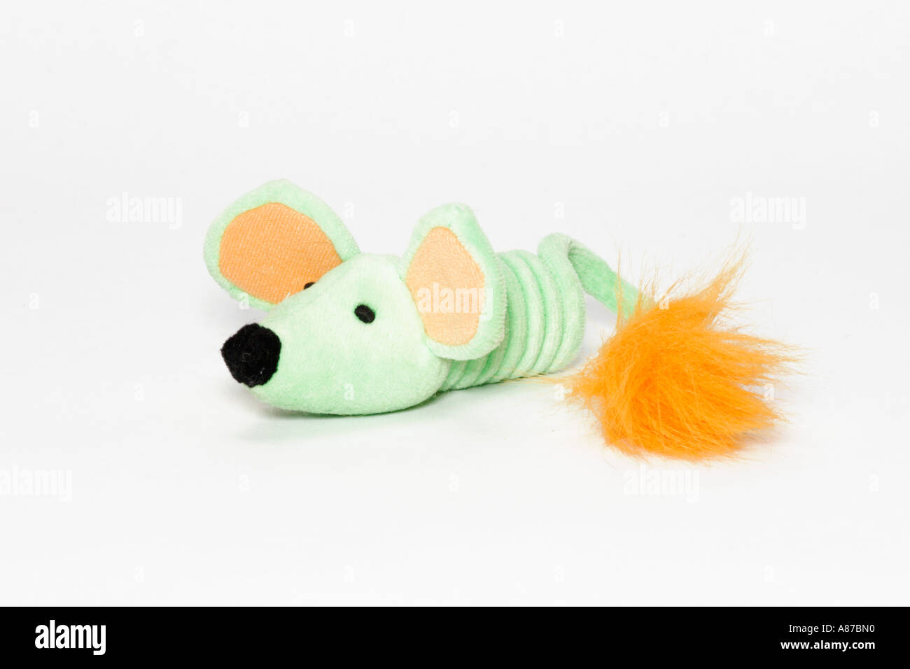 Fuzzy tail Cut Out Stock Images & Pictures - Alamy