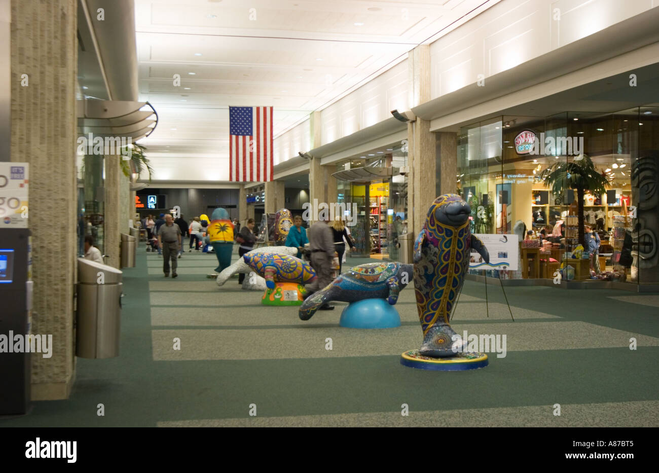 Painted manatee statues in terminal lobby at Tampa International ...