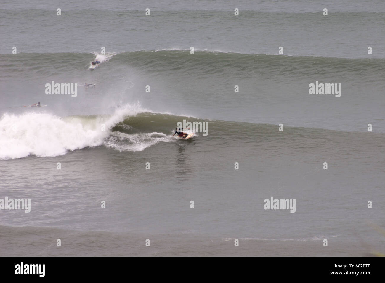 KNEEBOARDER SURFING SUNSHINE COAST QUEENSLAND AUSTRALIA HORIZONTAL ...