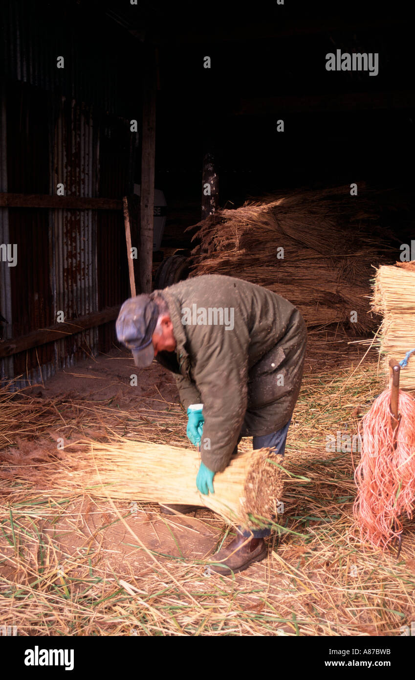 Thatching industry Chillesford Suffolk England Stock Photo - Alamy