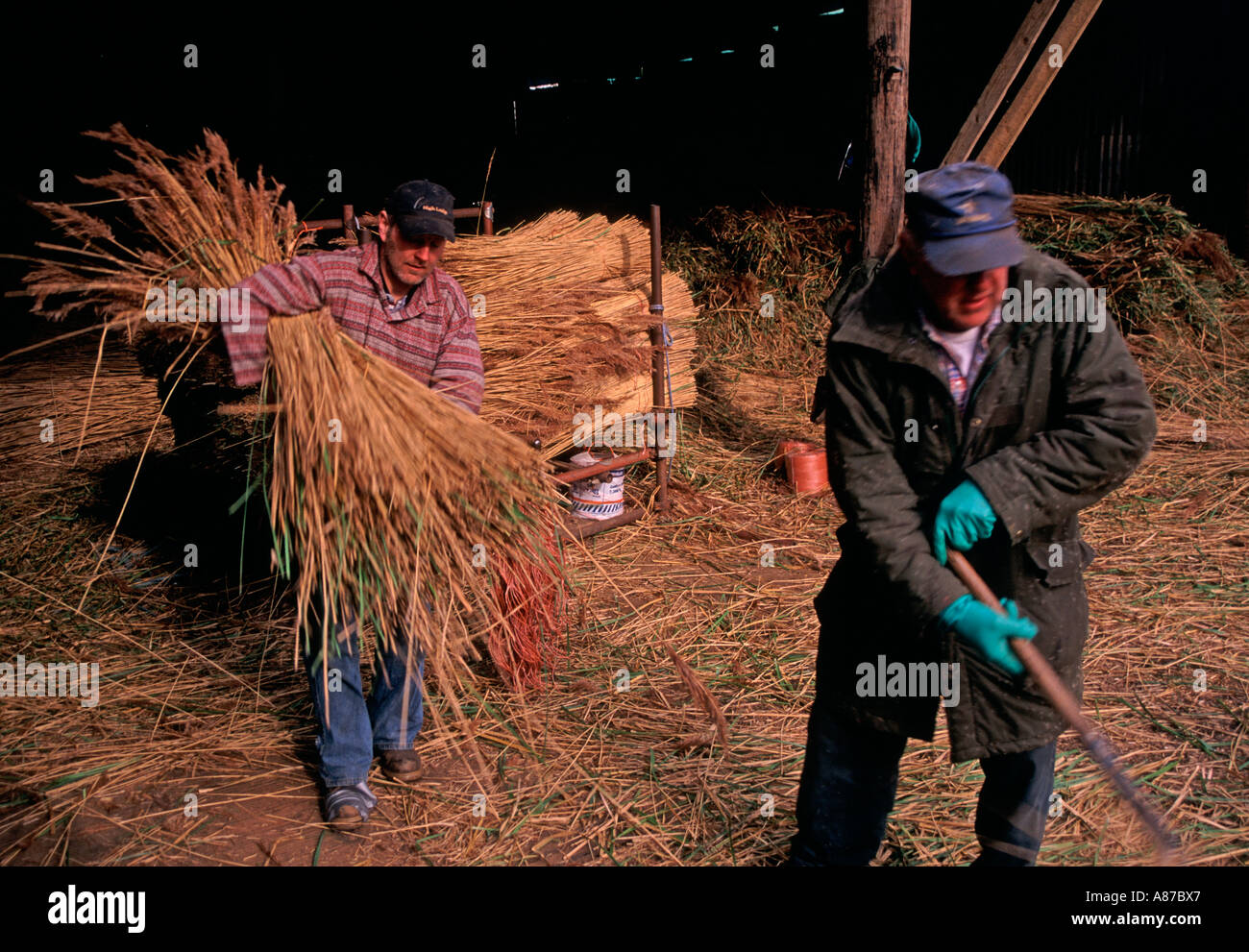 Hand thatching hi-res stock photography and images - Alamy