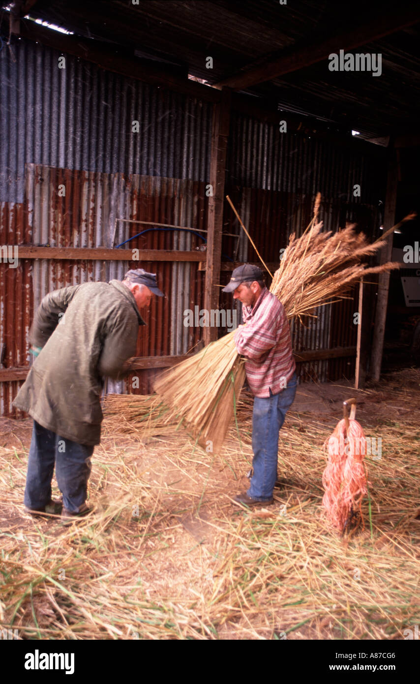 Thatching industry Chillesford Suffolk England Stock Photo - Alamy
