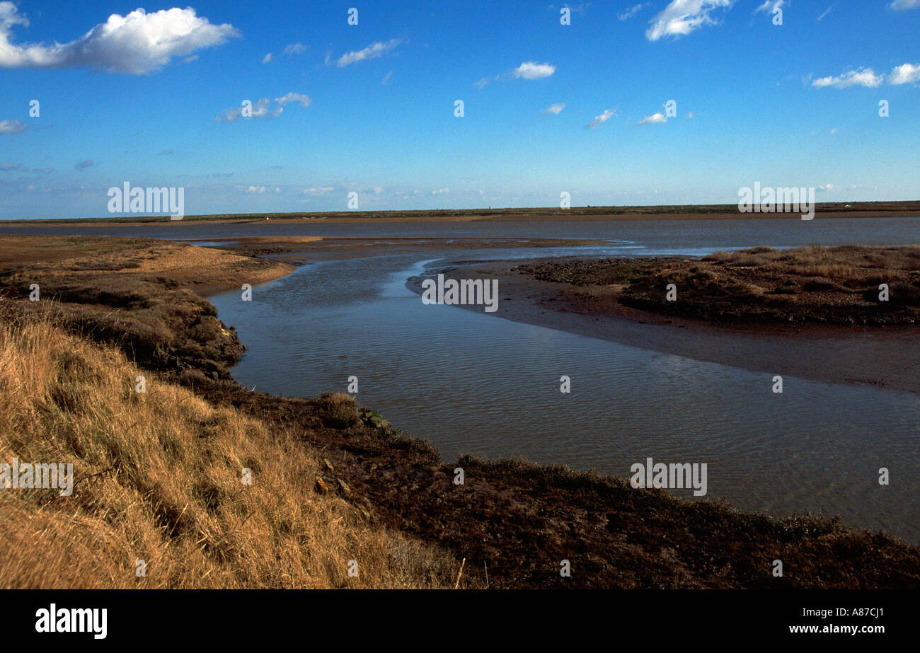 Reeds, marshes and drainage River Ore Orford ness spit ditches ...