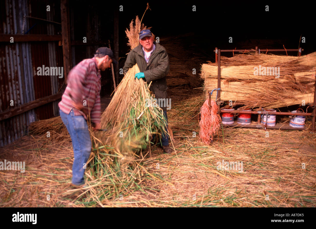 Thatching industry Chillesford Suffolk England Stock Photo - Alamy