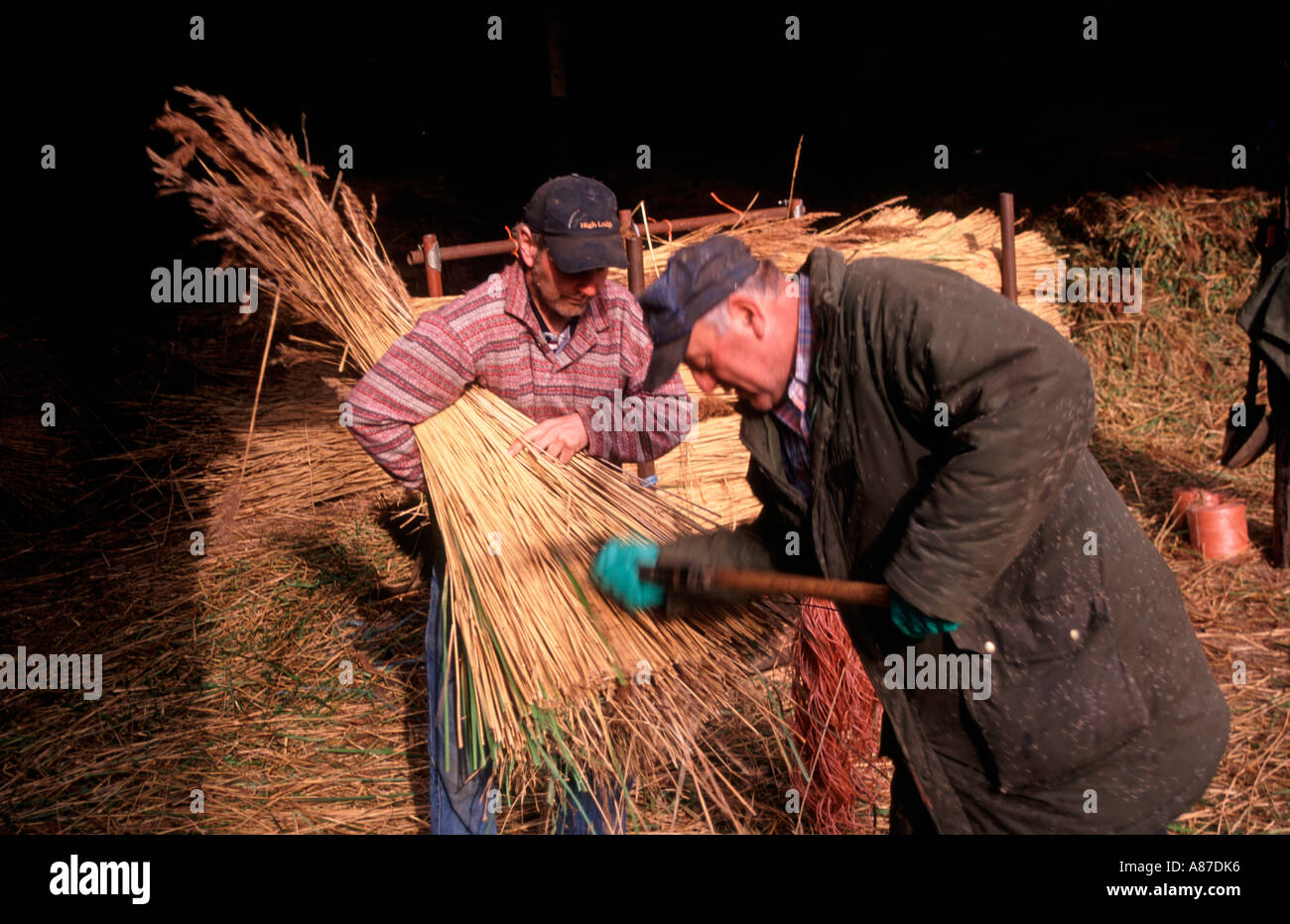 Thatching industry Chillesford Suffolk England Stock Photo - Alamy