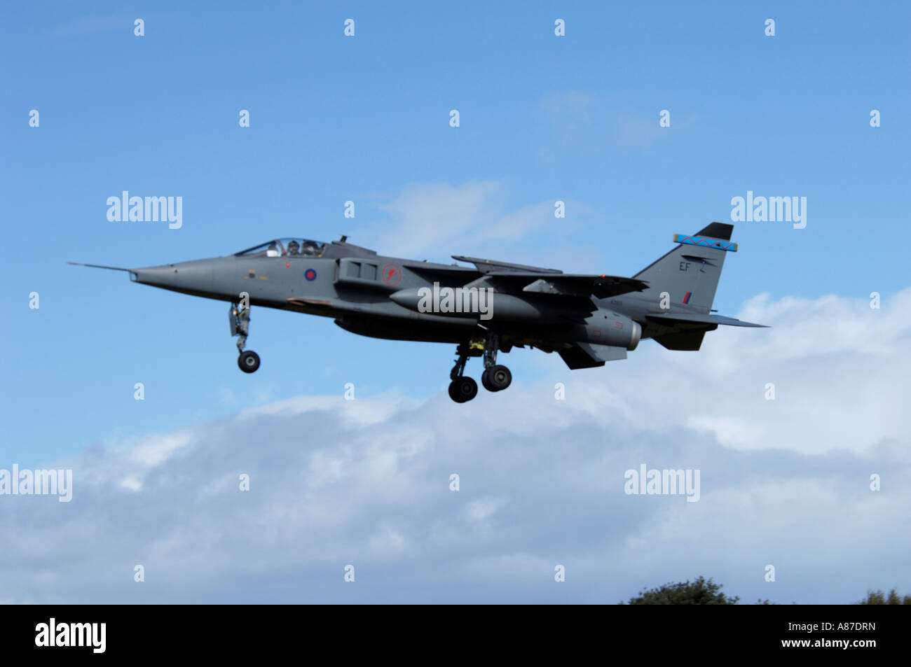 Sepecat jaguar hi-res stock photography and images - Alamy
