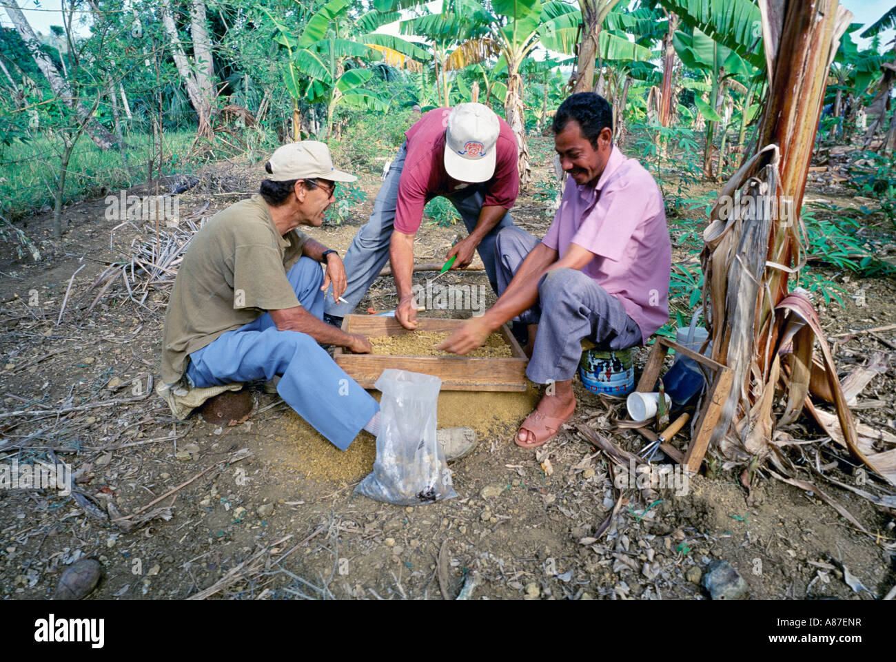 Archeology survey hi-res stock photography and images - Alamy