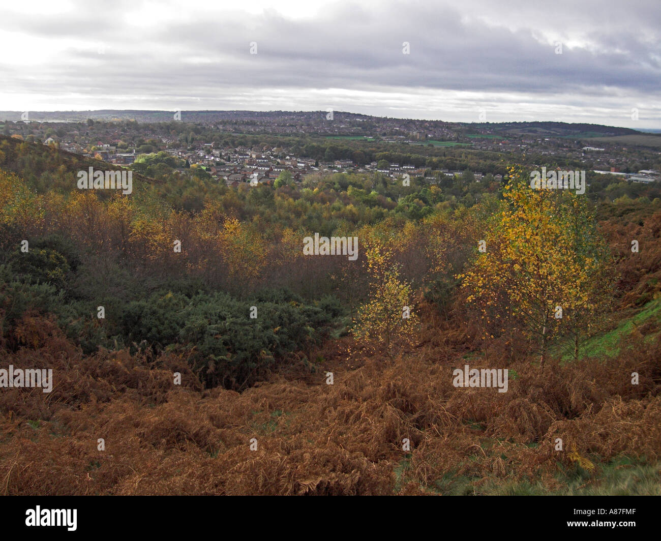 Longton stoke hi-res stock photography and images - Alamy