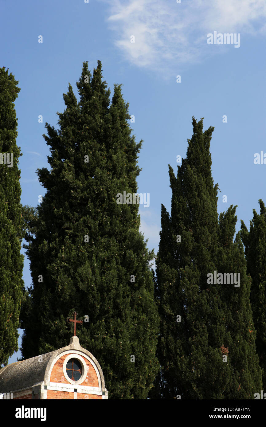 Church with trees in background Stock Photo - Alamy
