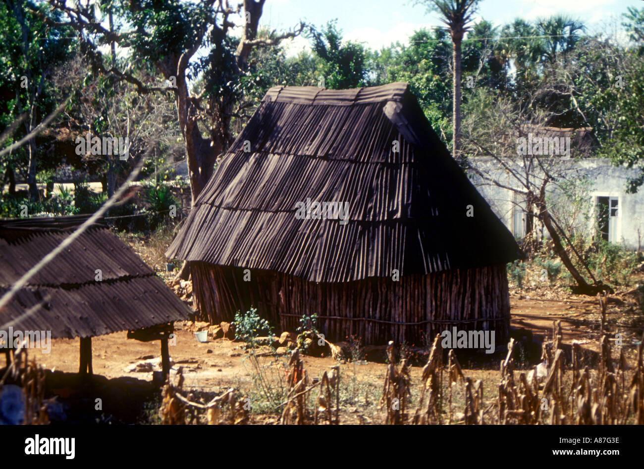 Maya hut in Yucatan Stock Photo - Alamy