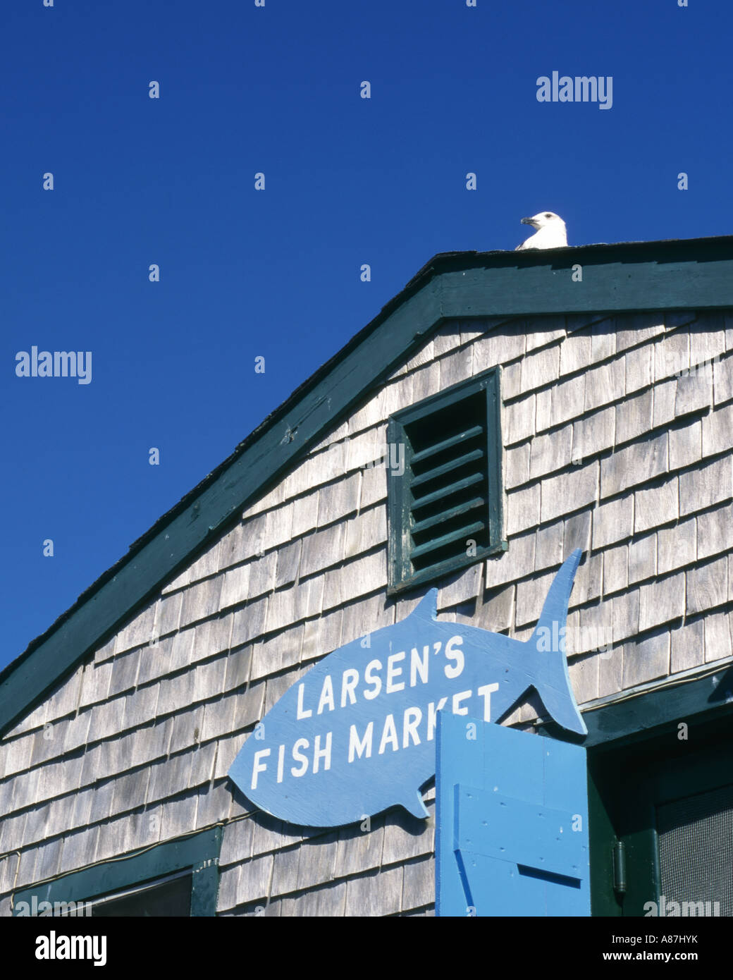 Seagull on roof of Larsens fish market,deep blue sky,fish shaped sign ...