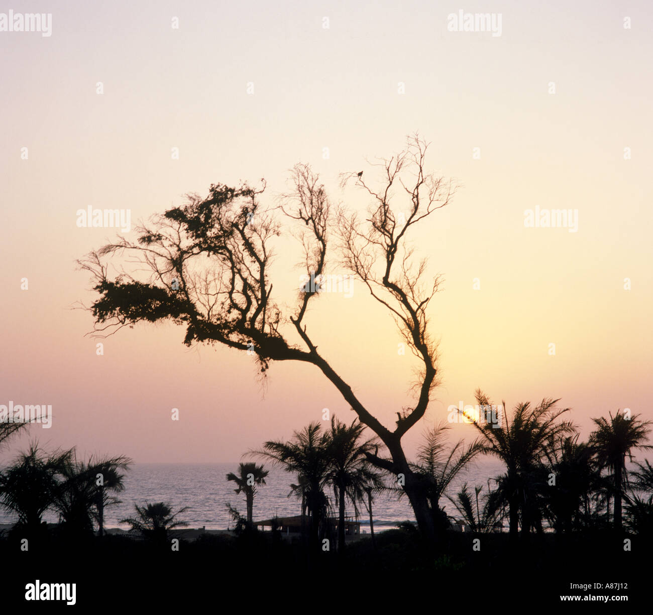 Kotu Beach Gambia West Africa High Resolution Stock Photography and ...