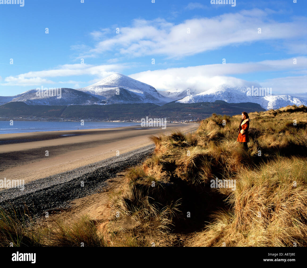 Snow covered Mountains of Mourne, Murlough Nature Reserve, Murlough ...