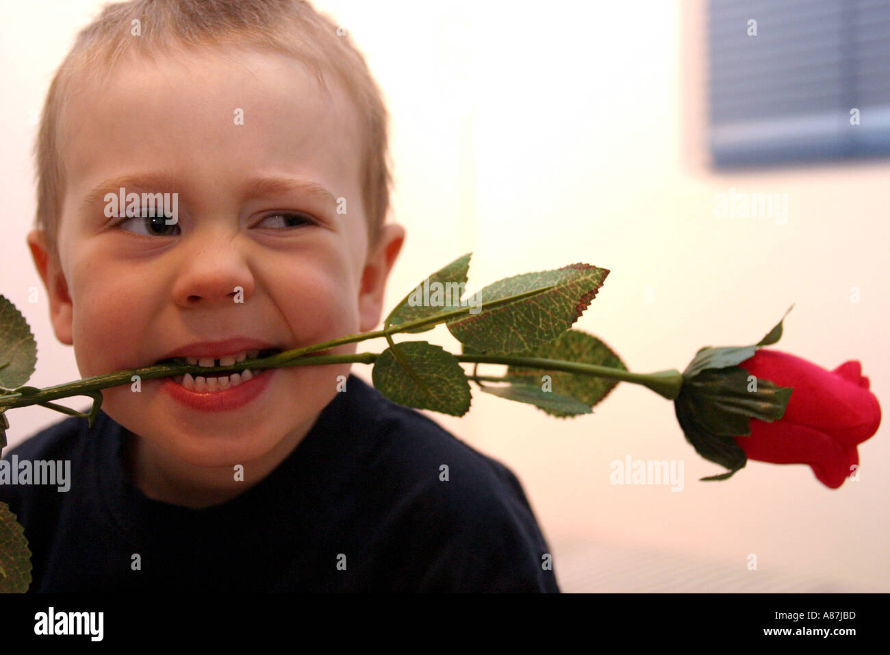 Between teeth hi-res stock photography and images - Alamy