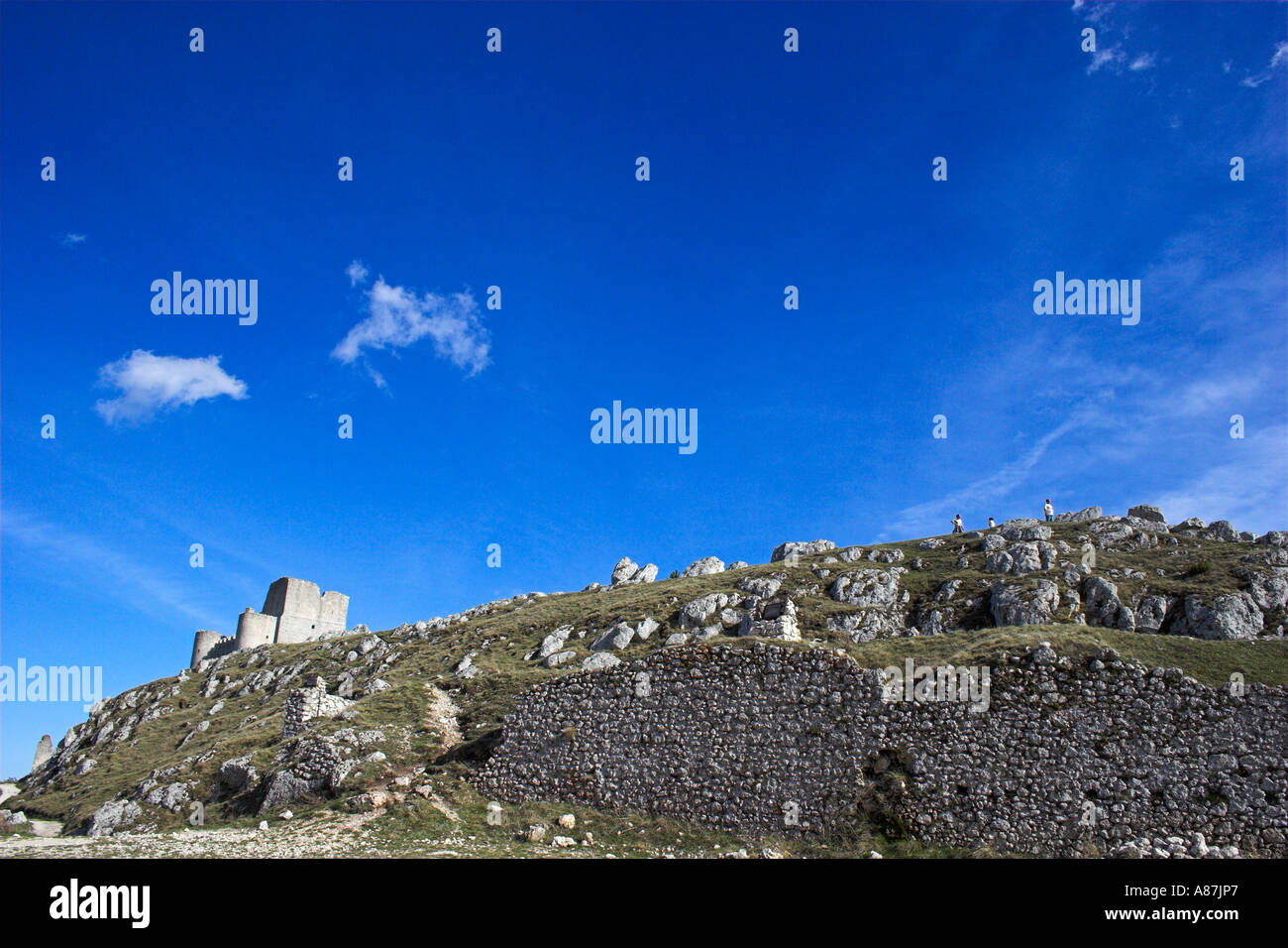 Trekker in field of flowers hi-res stock photography and images - Alamy