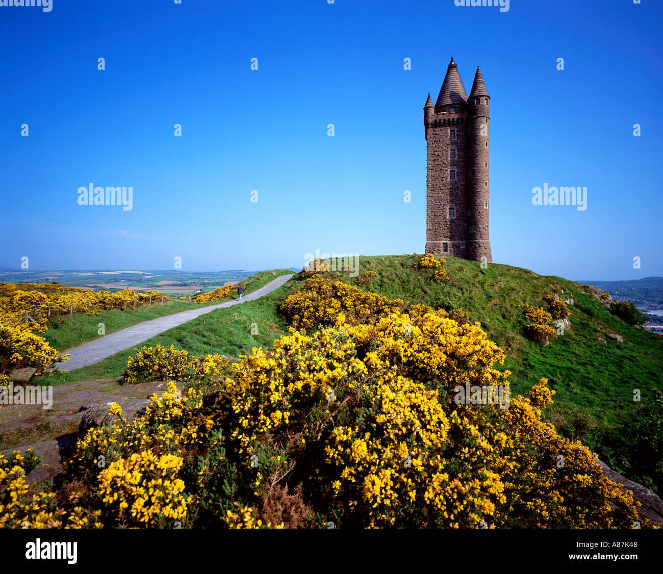 Scrabo Tower, Newtownards, Co. Down, Northern Ireland Stock Photo - Alamy