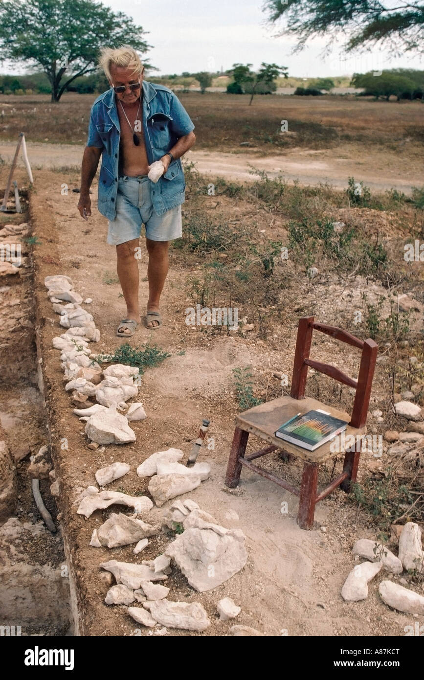 Archaeologist in the field Stock Photo - Alamy