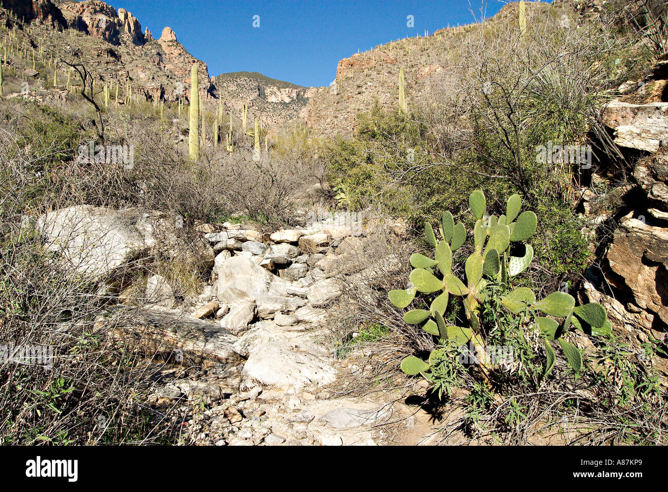 Finger rock arizona hi-res stock photography and images - Alamy