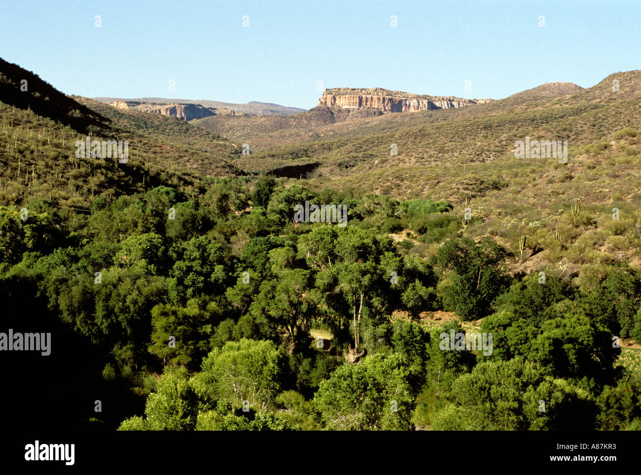 Aravaipa canyon hi-res stock photography and images - Alamy