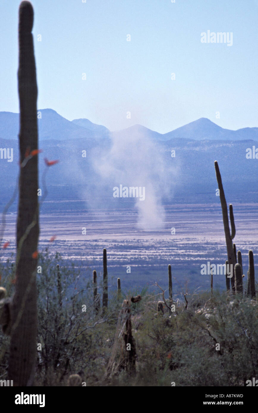 Dust Devil in Avra Valley Pima Co Arizona USA Stock Photo - Alamy
