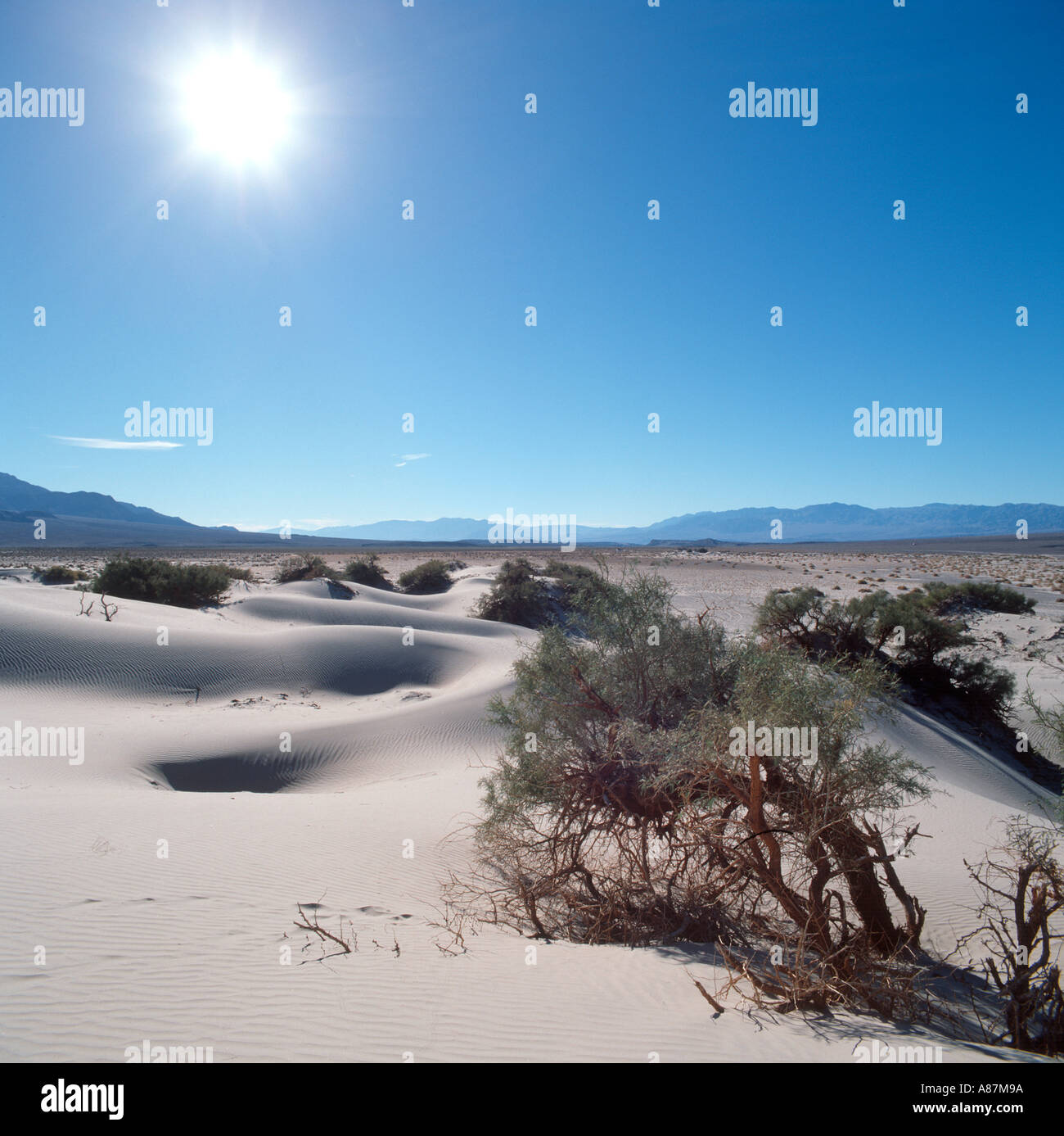 Death Valley, California, USA Stock Photo - Alamy