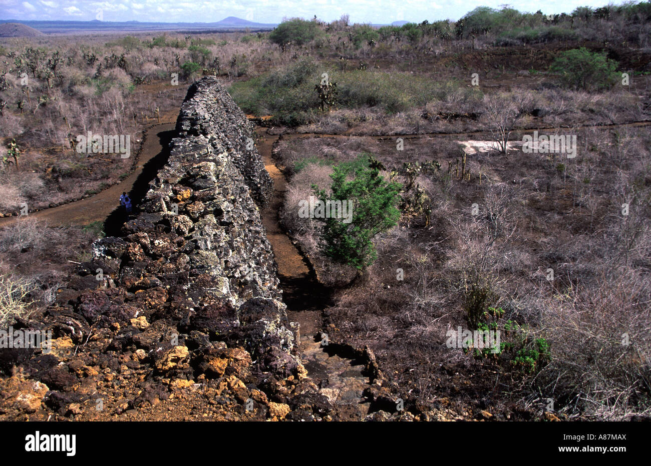 Wall of tears muro de las lagrimas build by prisoners Isabela Galapagos ...