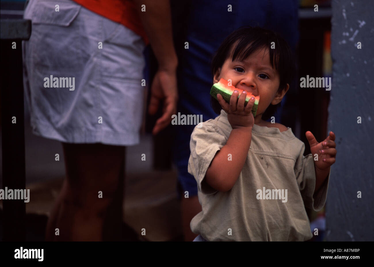 child eating water melon Puerto Ayora Santa Cruz Galapagos Island ...
