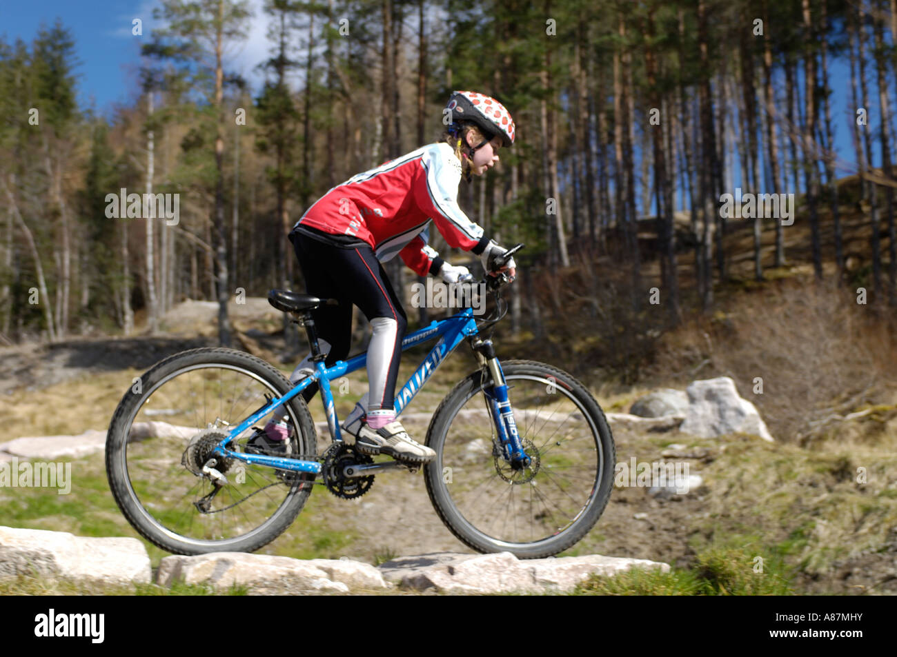 Strathmashie High Resolution Stock Photography and Images - Alamy